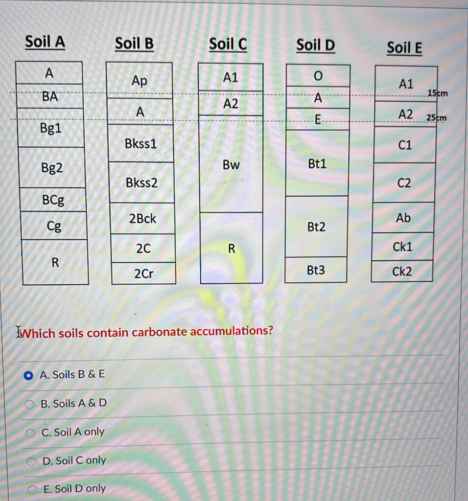 Solved EWhich soils contain carbonate accumulations? A. | Chegg.com