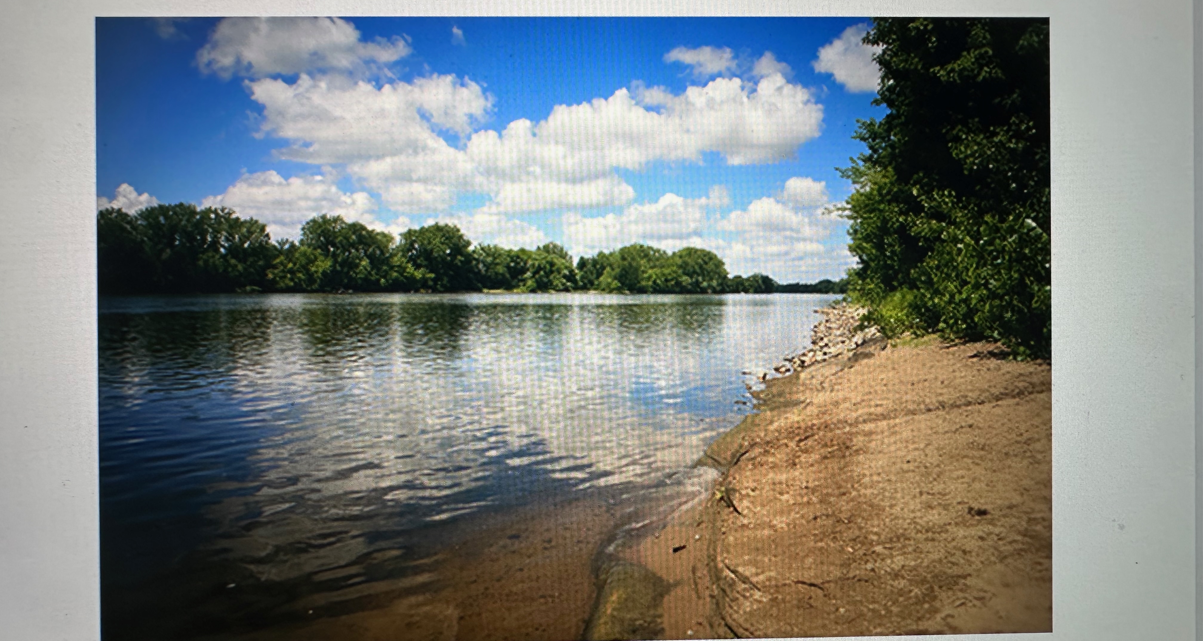 Solved I NEED HELP | Chegg.com