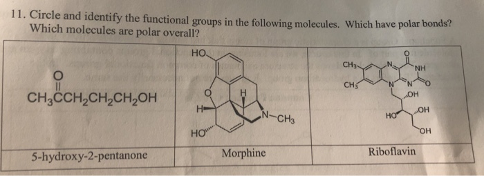 Solved 11. Circle and identify the functional groups in the | Chegg.com