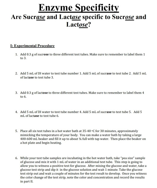 Solved Enzyme Specificity Are Sucrase and Lactase specific | Chegg.com