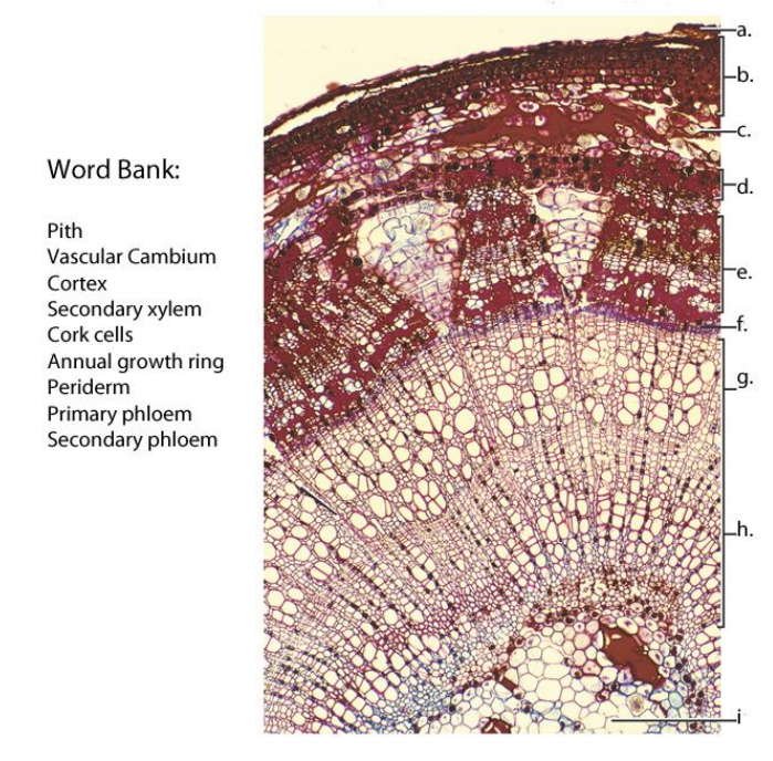 Solved Biology Question: Identify a through i of the cross | Chegg.com