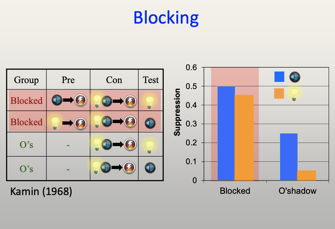 Solved Overshadowing Conditioning TEST 20 15 Magazine | Chegg.com