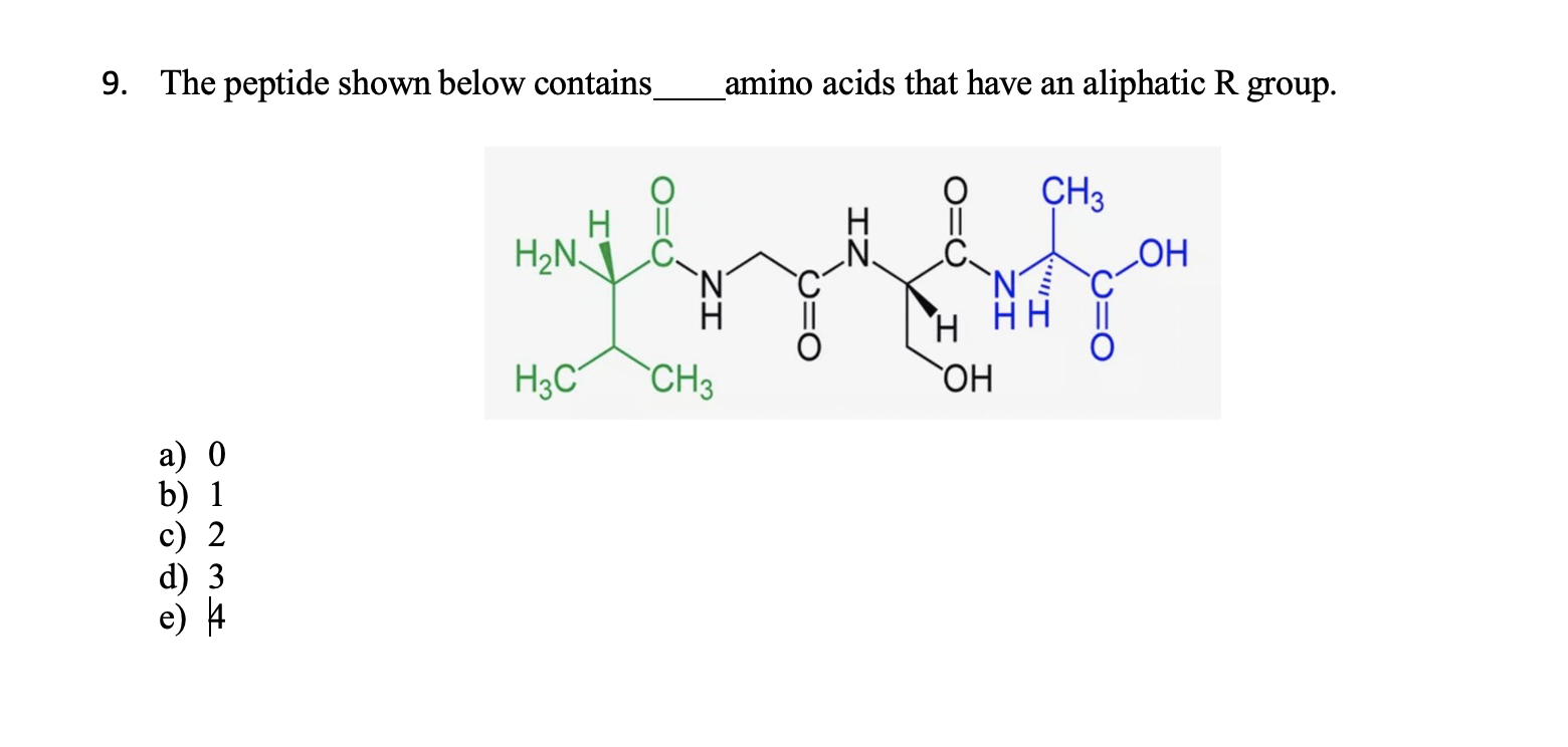 Solved The peptide shown below contains amino acids that | Chegg.com