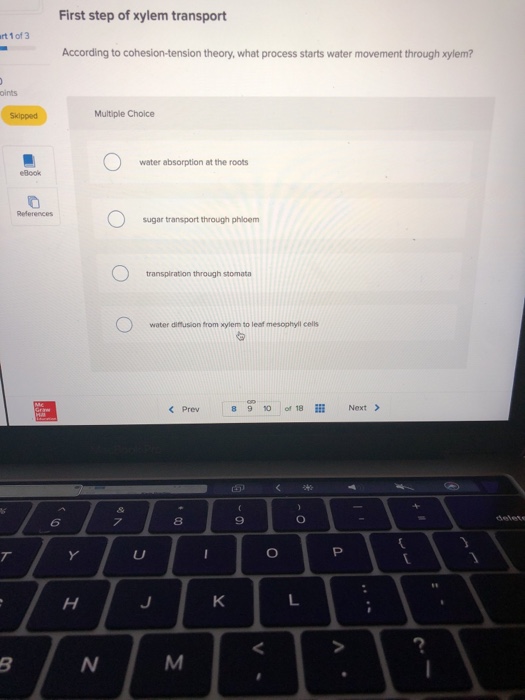 Solved Help Save & Exit Submit Xylem vs. phloem Classify | Chegg.com