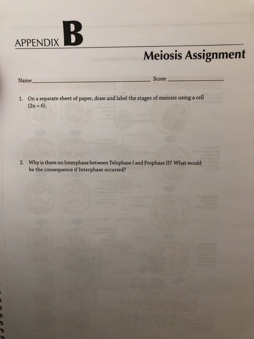 Solved APPENDIX Meiosis Assignment Name Score On a separate | Chegg.com