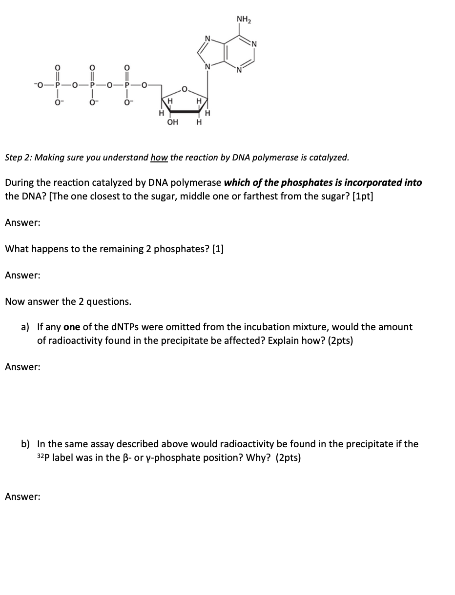 Solved Below Is An Example Of A Scenario Based Question 