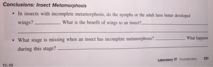 Solved Conclusions: Insect Metamorphosis In insects with | Chegg.com