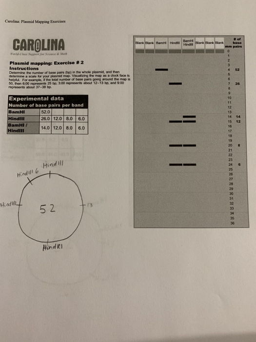 Solved How to do plasmid mapping, I am unsure of how to draw | Chegg.com