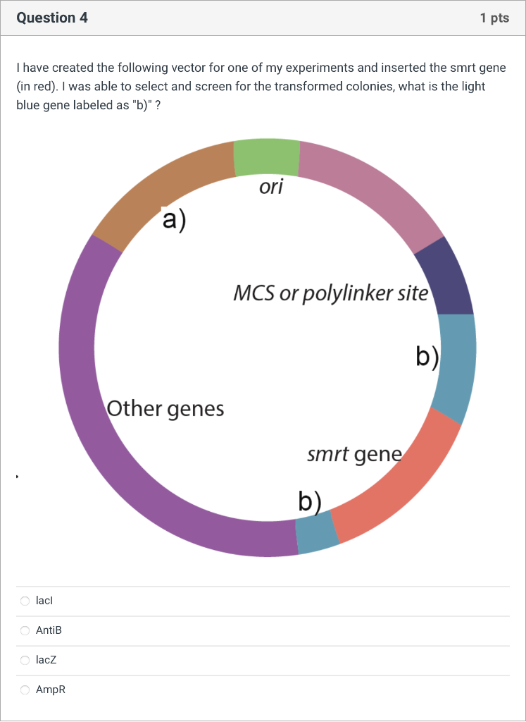 Solved Question 4 1 pts I have created the following vector | Chegg.com