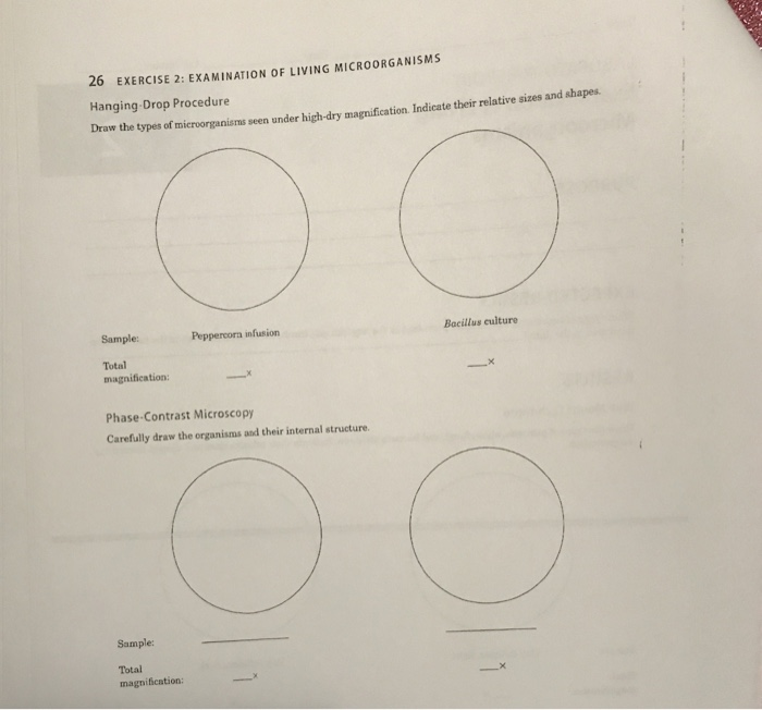 Name: Date Lab Section LABORATORY REPORT Examination | Chegg.com