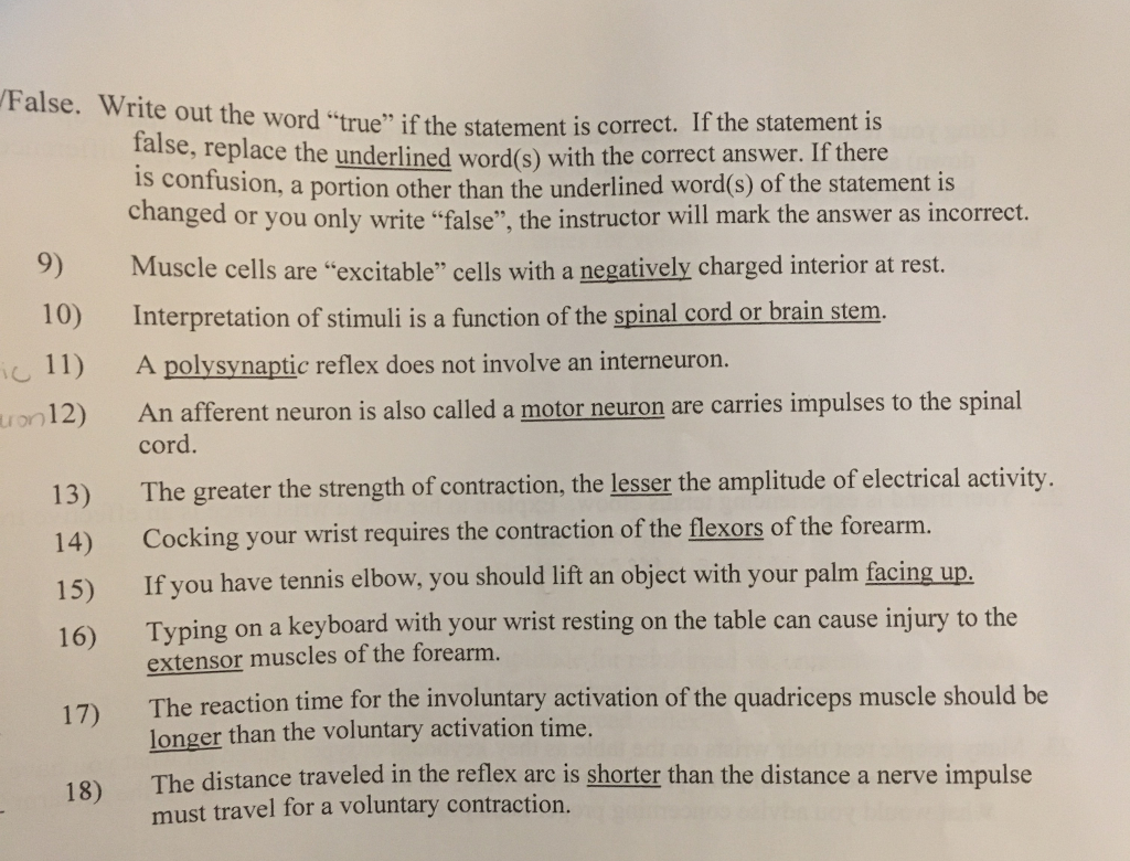 False Write Out The Word True If The Statement Is