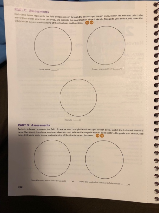Solved LABORATORY Name Date Section ASSESSMENT 27 The | Chegg.com