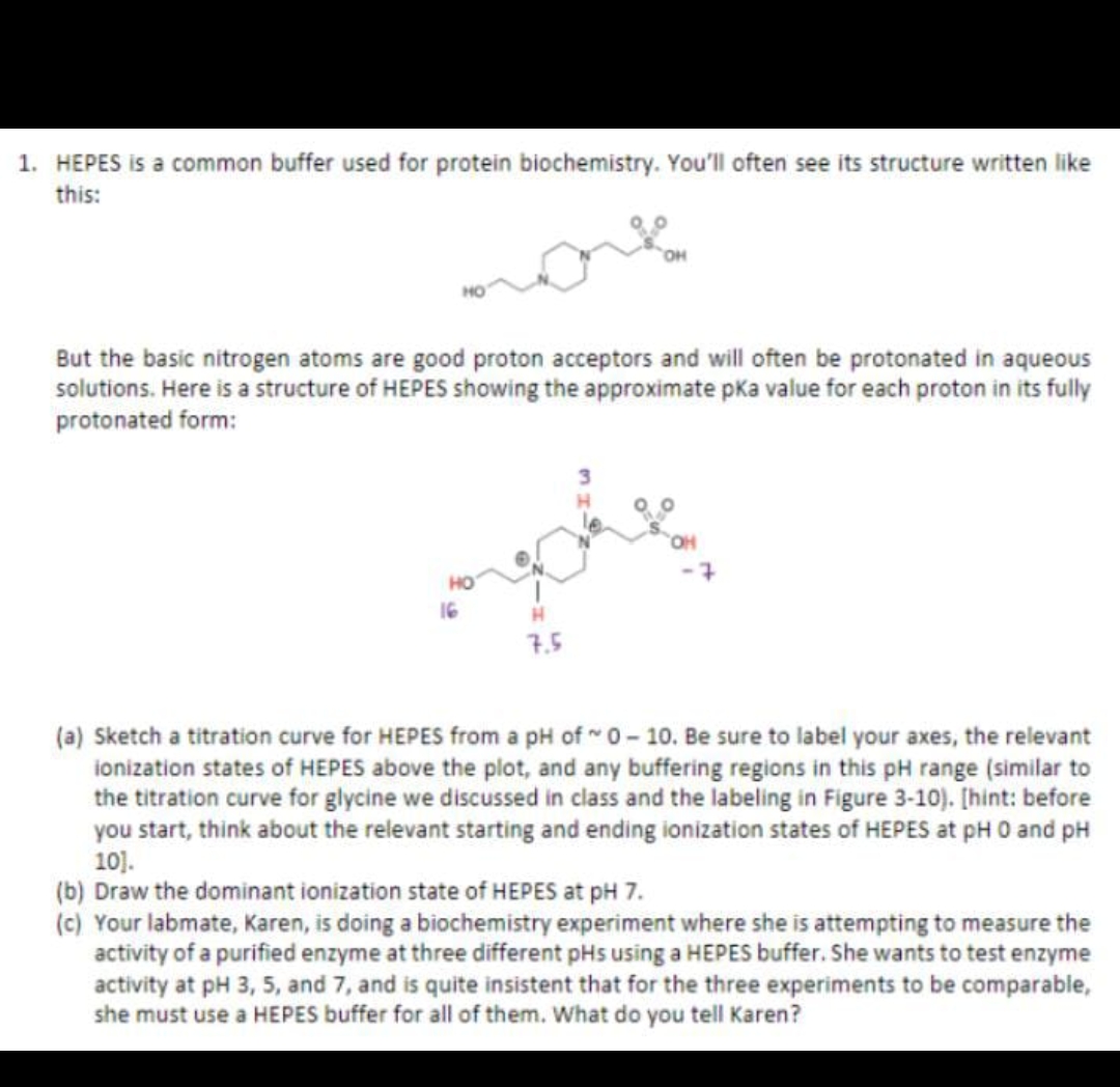 1. HEPES is a common buffer used for protein | Chegg.com