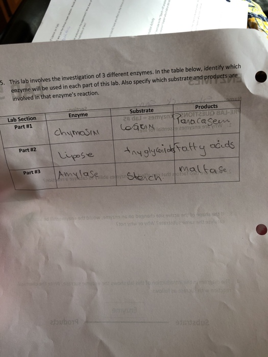 Solved 5. This lab involves the investigation of 3 different | Chegg.com