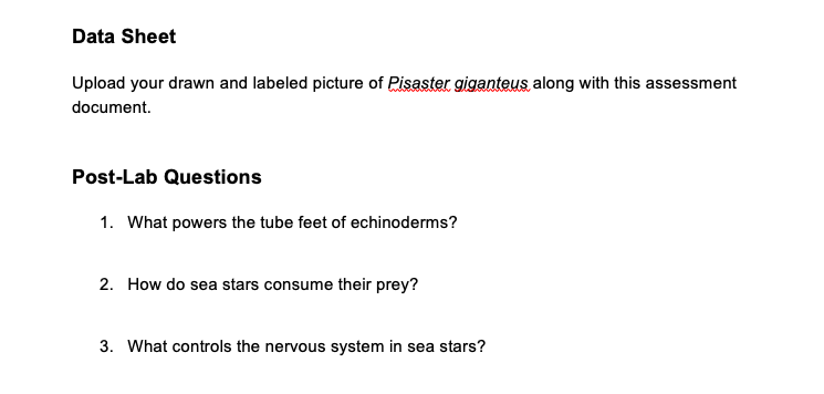 Solved Data Sheet Upload your drawn and labeled picture of | Chegg.com