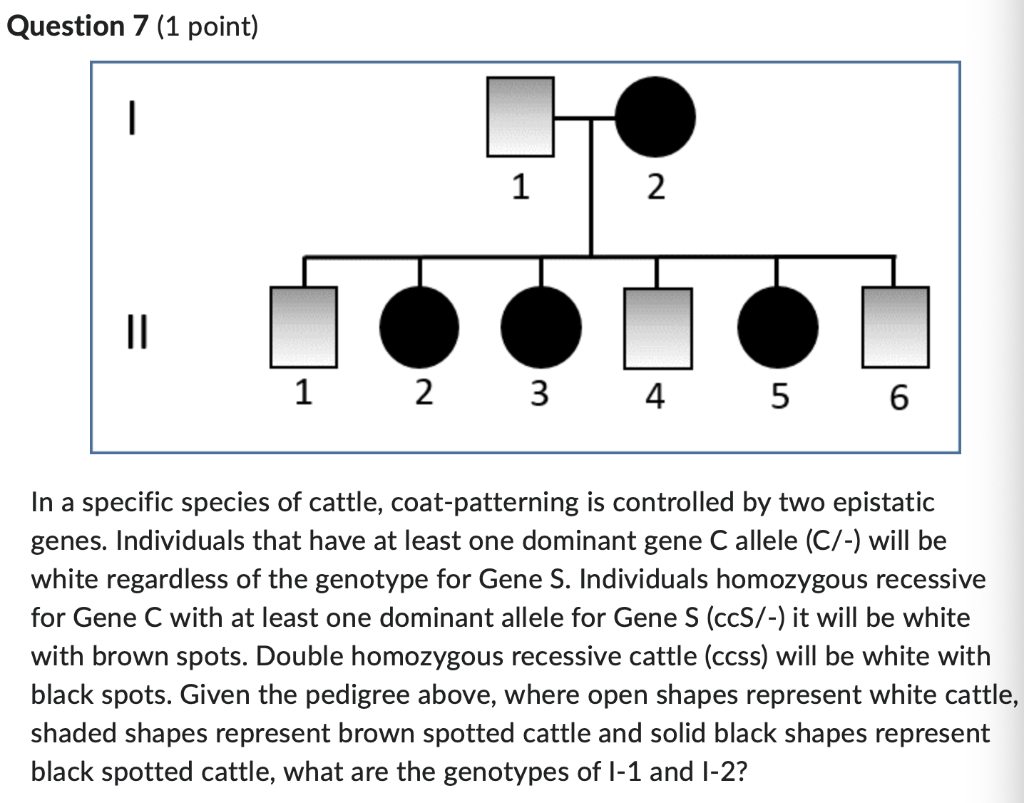 Solved Question 7 (1 point) In a specific species of cattle, | Chegg.com