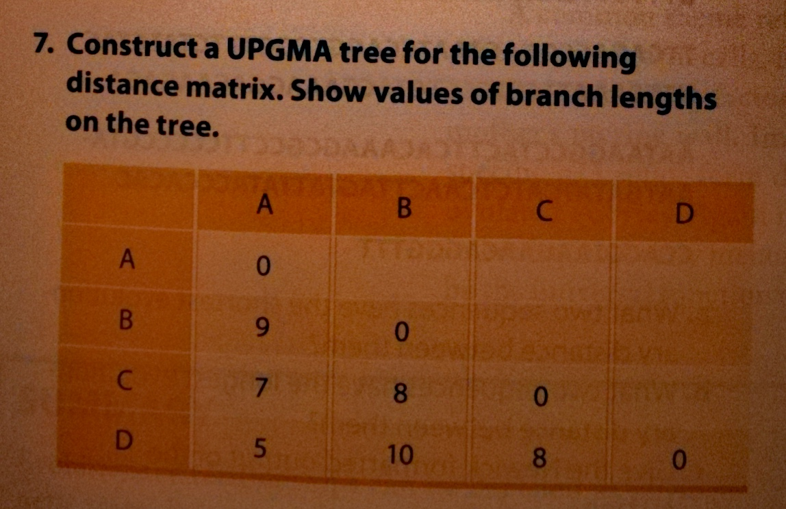Solved Construct a UPGMA tree for the following distance | Chegg.com