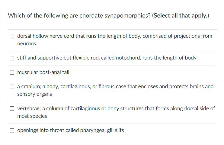 Solved Which of the following are chordate synapomorphies? | Chegg.com