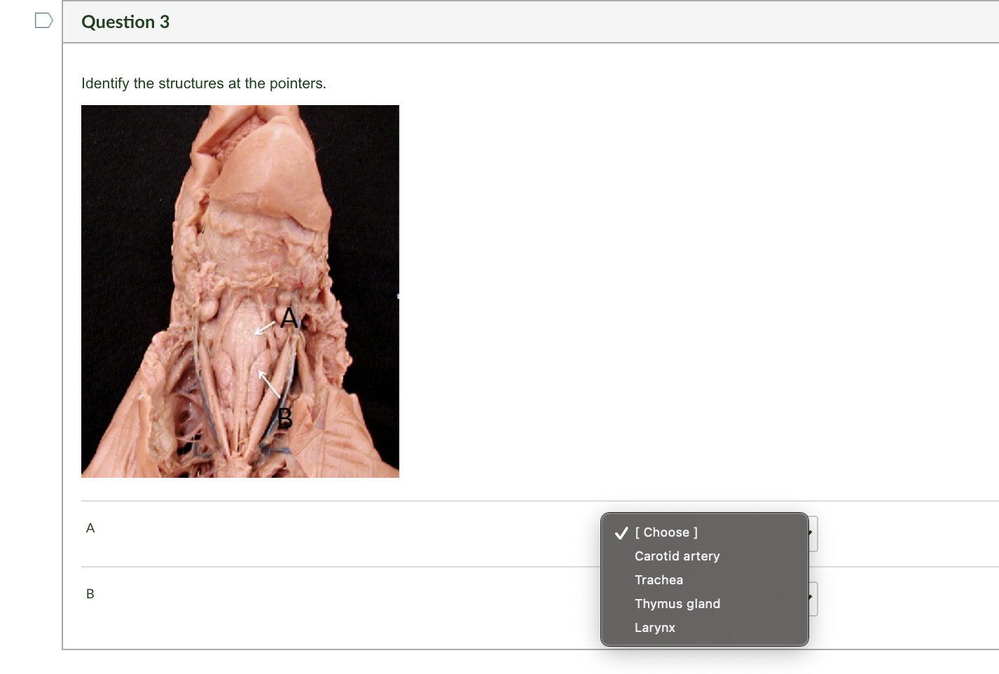 Solved This is a Biology lab. The image below is that of a | Chegg.com