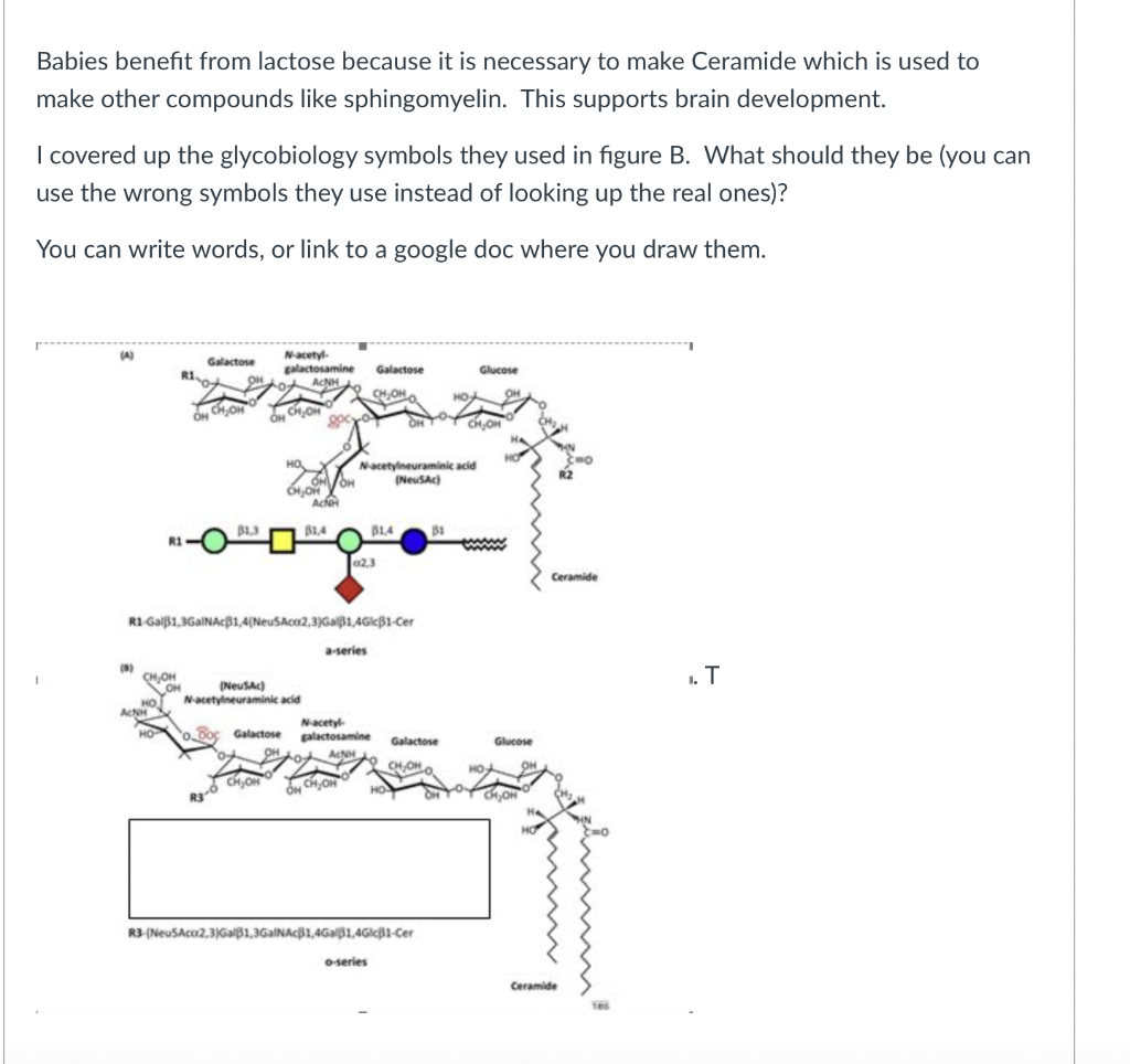 Solved Question 2 2 pts a The specific rotation of this | Chegg.com