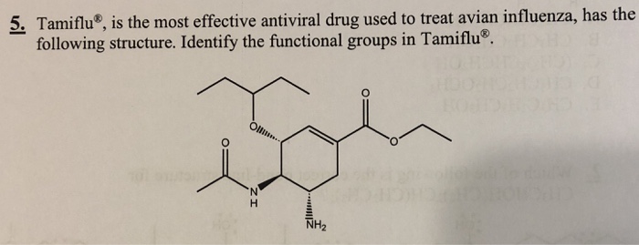 Solved 5. Tamiflu, is the most effective antiviral drug used | Chegg.com