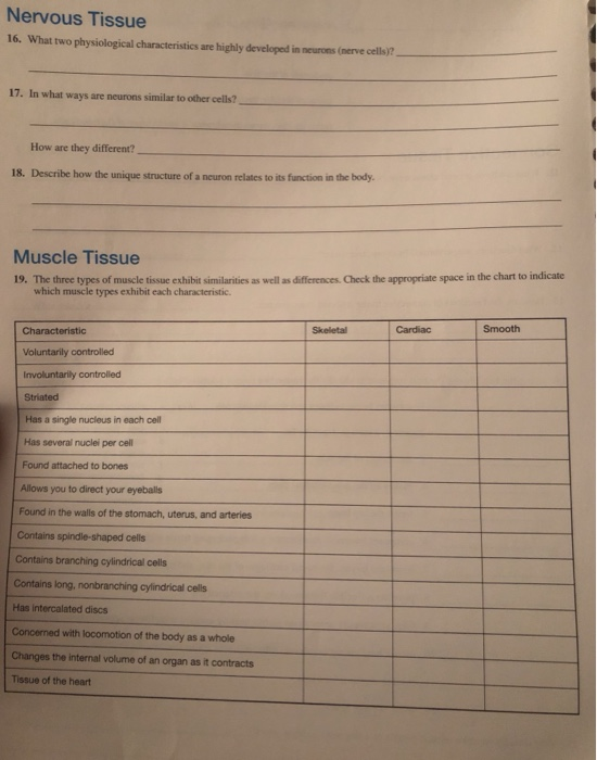 Solved LAB TIME/DATE 6 REVIEW SHEET EXERCISE Classification | Chegg.com Solved LAB TIME/DATE 6 REVIEW SHEET EXERCISE Classification | Chegg.com