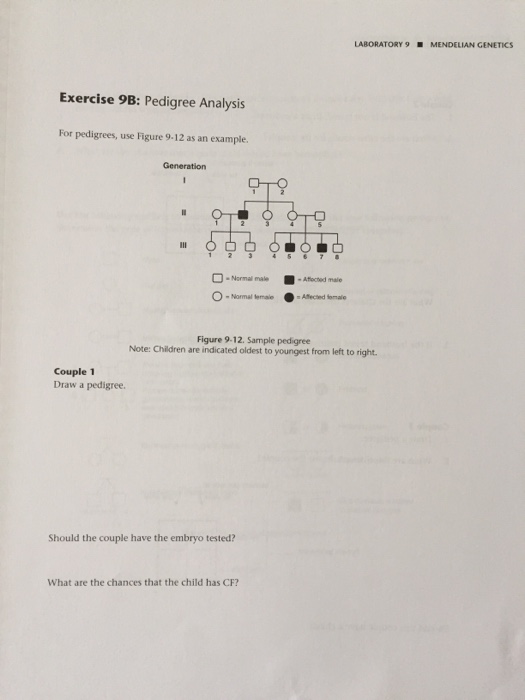 Solved LABORATORY 9 MENDELIAN GENETICS Corn Mounts | Chegg.com
