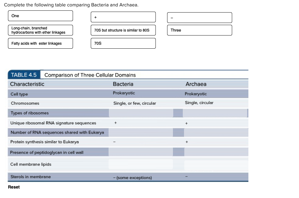 Solved Complete the following table comparing Bacteria and | Chegg.com