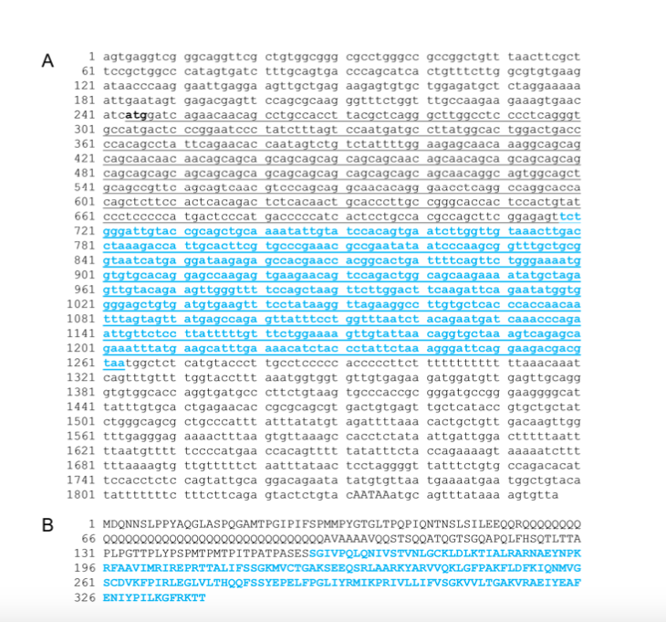 1: The pET302 expression vector can be used for | Chegg.com