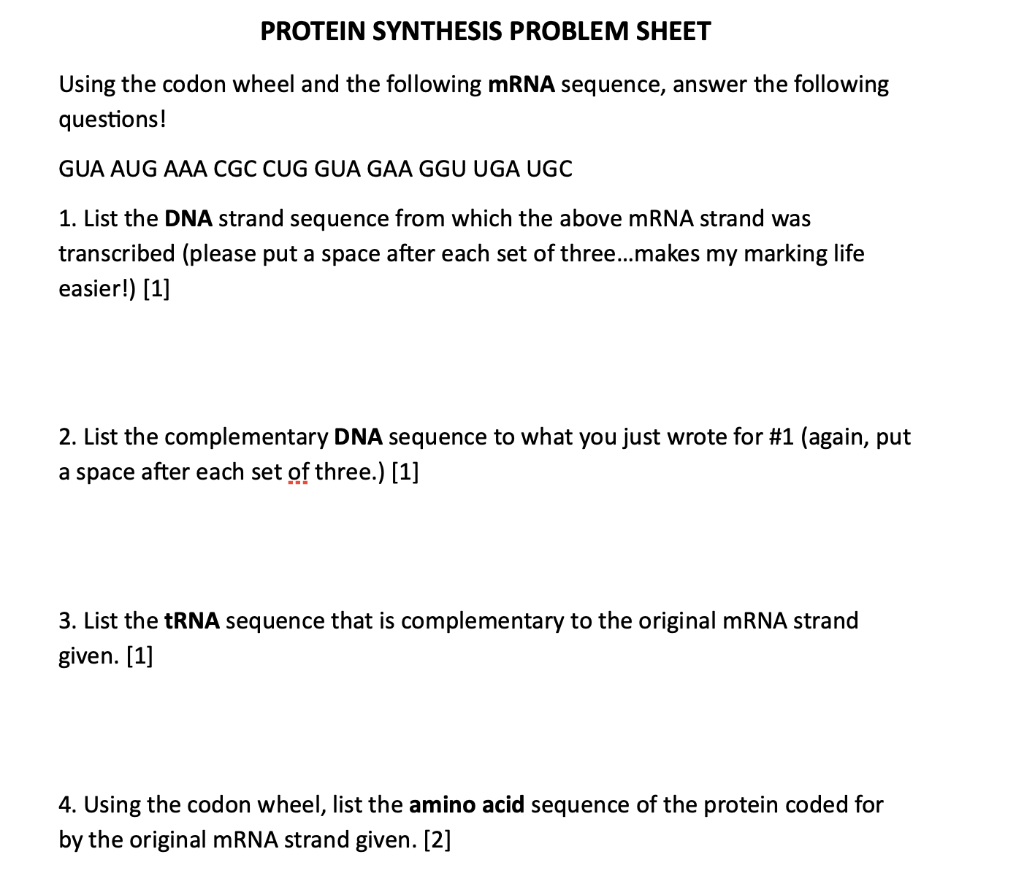 Solved PROTEIN SYNTHESIS PROBLEM SHEET Using the codon wheel | Chegg.com