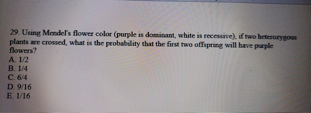 Solved 29. Using Mendel's flower color (purple is dominant, | Chegg.com