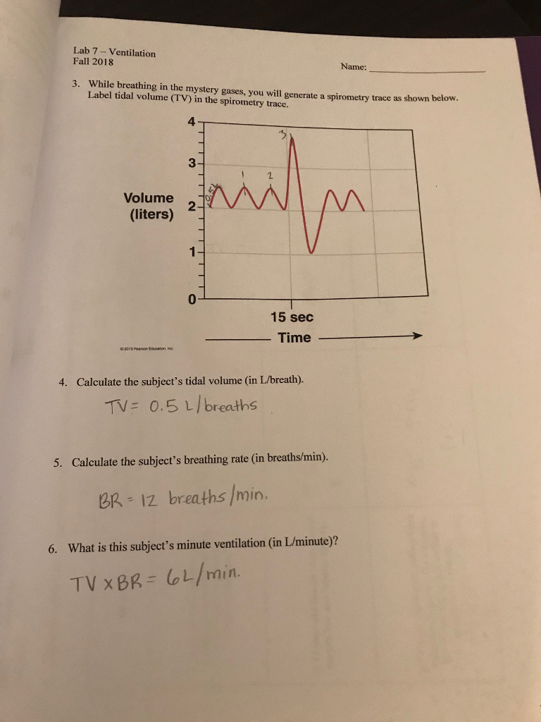 Solved Lab 7-Ventilation Fall 2018 Name: 3. While breathing | Chegg.com
