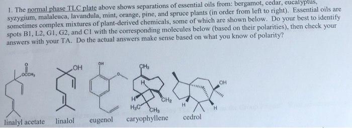Solved 1. The normal phase TLC plate above shows separations | Chegg.com