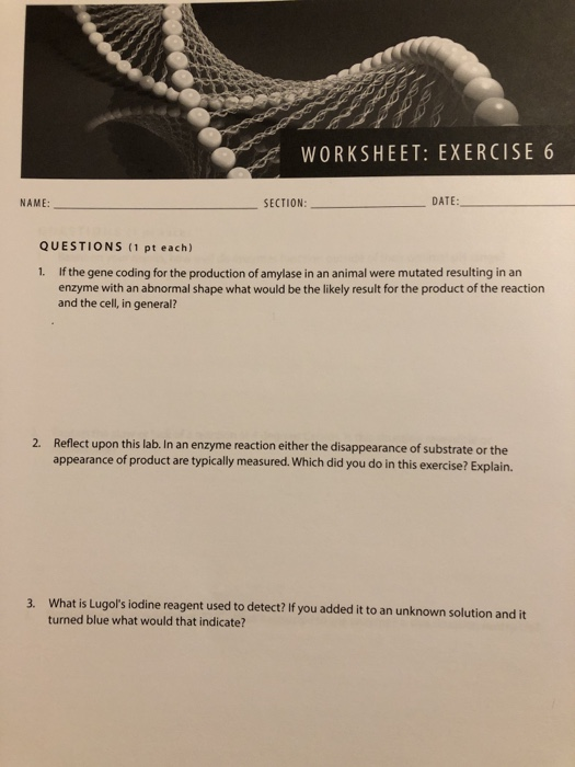 Solved WORKSHEET: EXERCISE 6 NAME: SECTION : DATE: QUESTIONS | Chegg.com