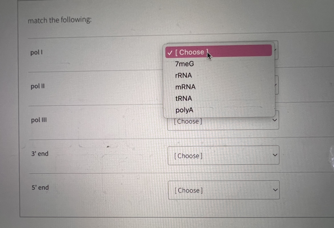 Solved match the following: poll pol II pol III 3' end 5' | Chegg.com