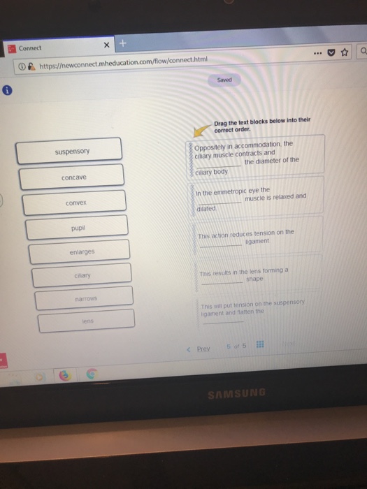 Solved place a single word into each sentence to make it, | Chegg.com Solved place a single word into each sentence to make it, | Chegg.com