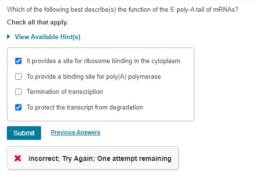 Solved Which of the following best describe(s) ﻿the function | Chegg.com