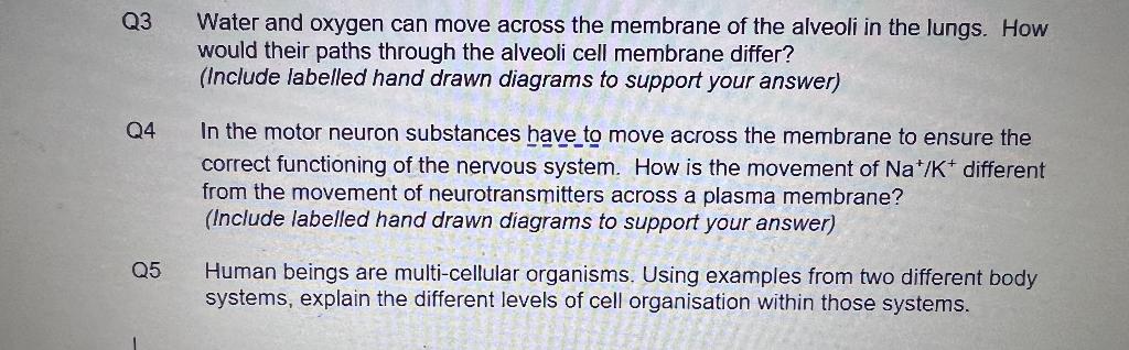 Solved Q3 Water and oxygen can move across the membrane of | Chegg.com