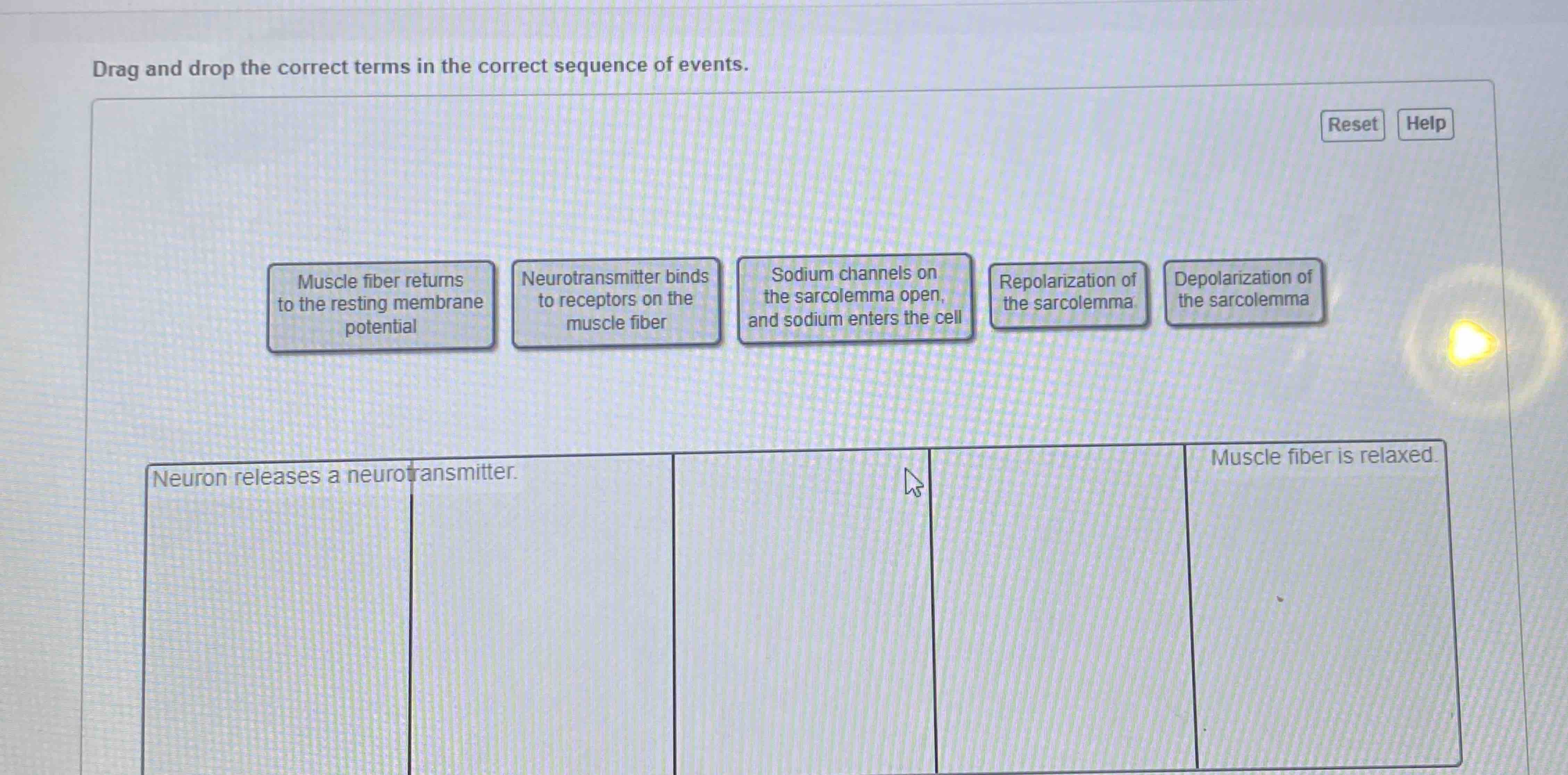 Solved Drag and drop the correct terms in the correct | Chegg.com