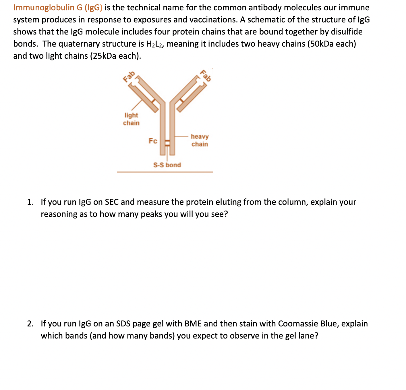 Solved Immunoglobulin G(lgG) is ﻿the technical name for the | Chegg.com