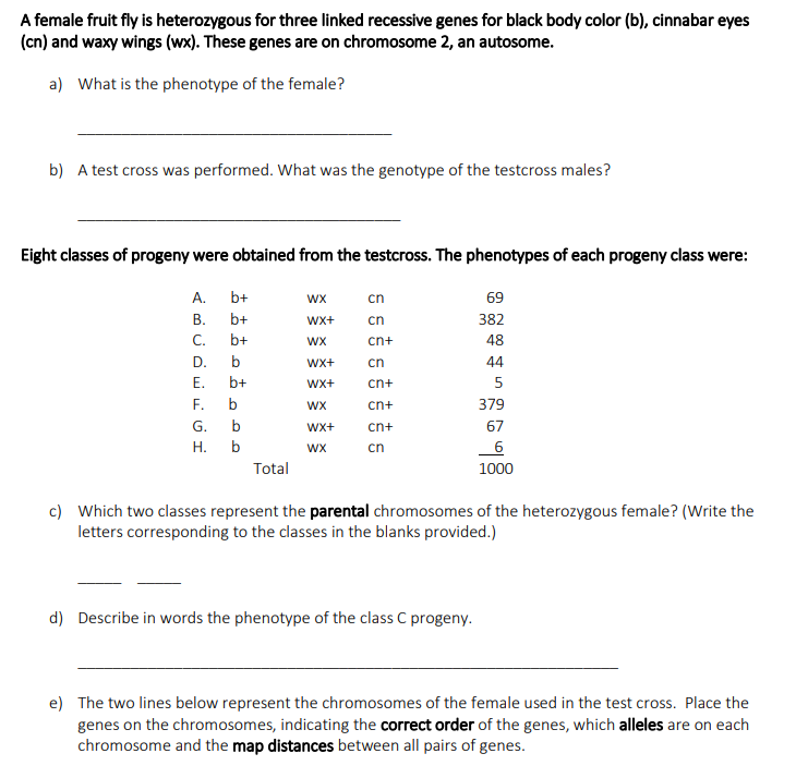 Solved A Female Fruit Fly Is Heterozygous For Three Linked 6540