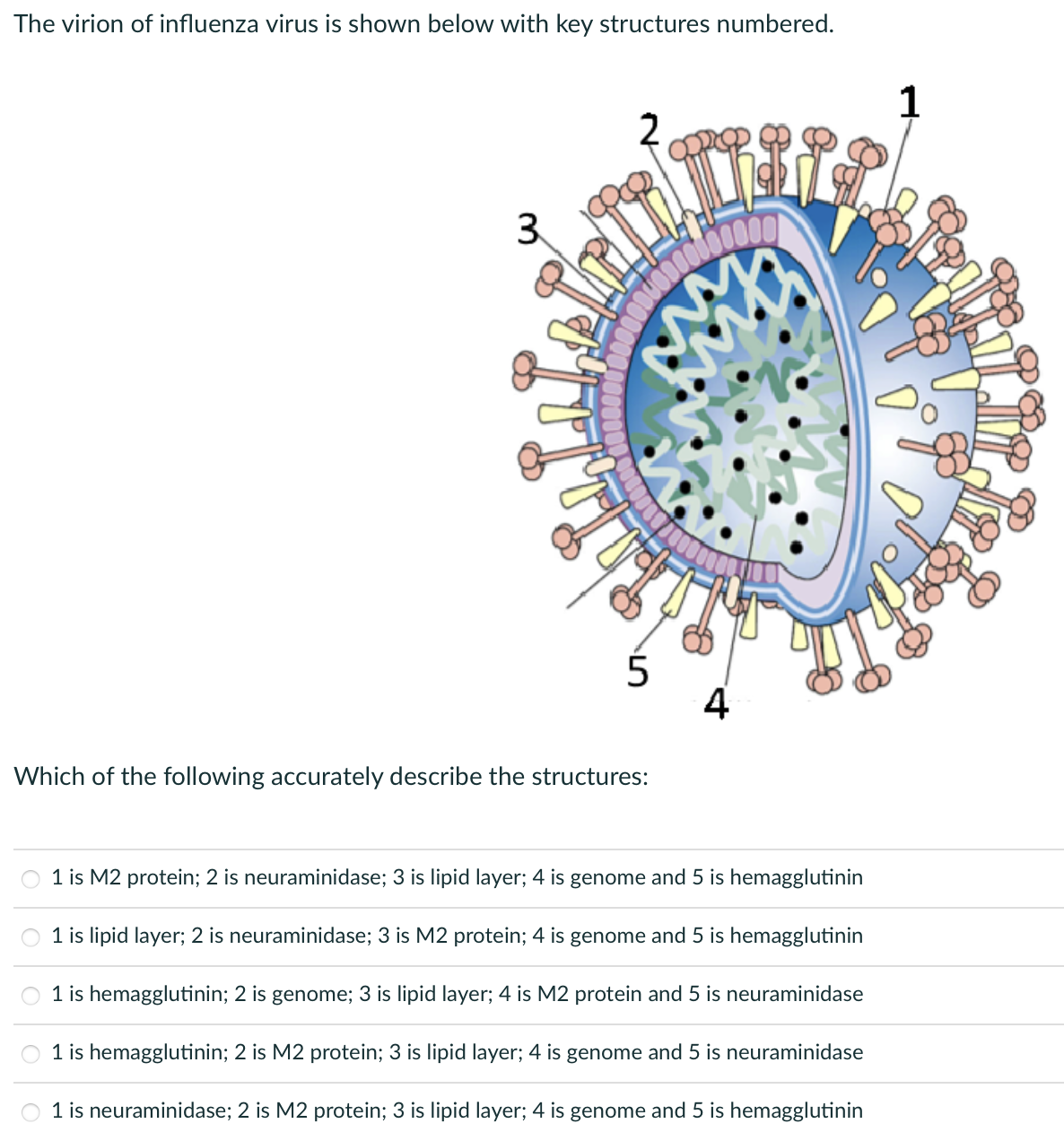 Solved The virion of influenza virus is shown below with key | Chegg.com