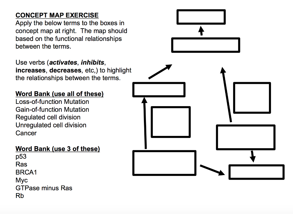 CONCEPT MAP EXERCISE Apply the below terms to the | Chegg.com
