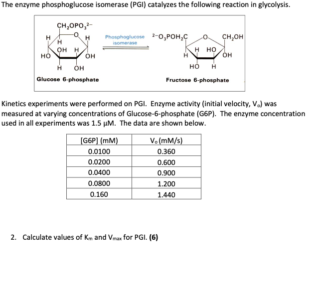 Solved Kinetics experiments were performed on PGI. Enzyme | Chegg.com