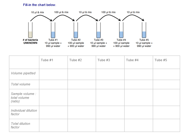 Solved Fill-in the chart below. 10 ul & mix 100 ul & mix 10 | Chegg.com