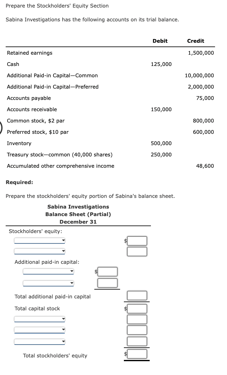 Solved Prepare the Stockholders' Equity Section Sabina | Chegg.com
