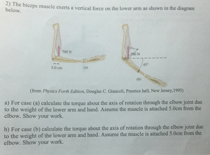 Solved biceps muscle exerts a vertical force on the lower | Chegg.com