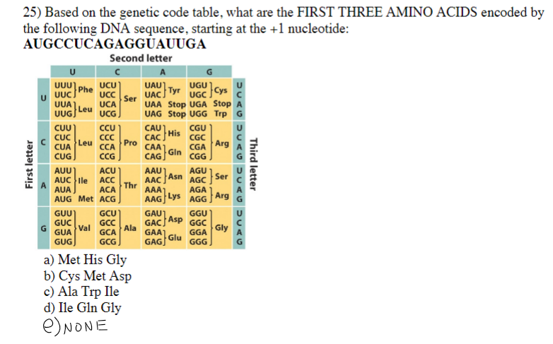 Solved 25) Based on the genetic code table, what are the | Chegg.com