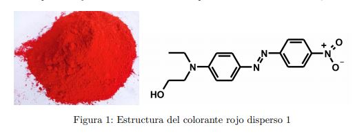 Solved starting from benzene or toluene show how to | Chegg.com