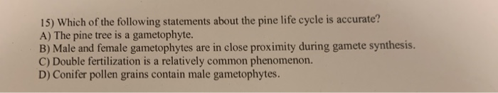 Solved 15) Which of the following statements about the pine | Chegg.com